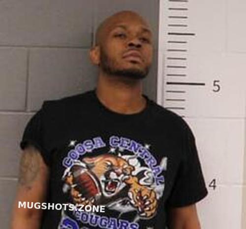 TERRISH MCKINNEY 02/21/2025 - St. Clair County Mugshots Zone