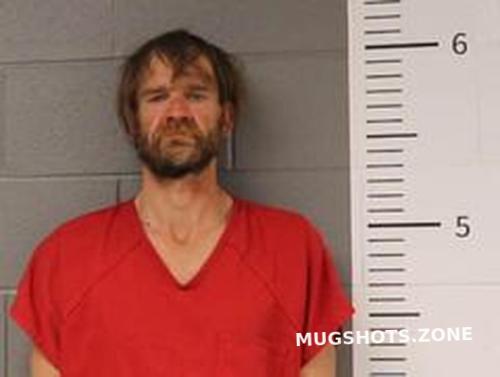 DONALD LOGAN 02/22/2025 - St. Clair County Mugshots Zone