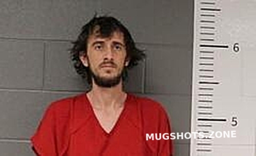 HELLEM MATHEW 03/05/2025 - St. Clair County Mugshots Zone