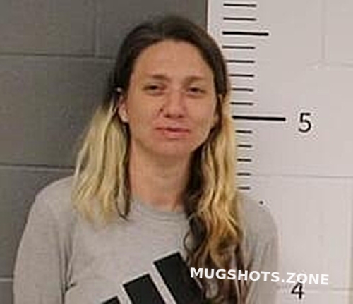 PRICE ALICE 03/14/2025 - St. Clair County Mugshots Zone