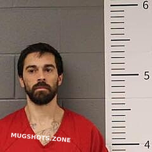 GOMER JUSTIN 03/20/2025 - St. Clair County Mugshots Zone