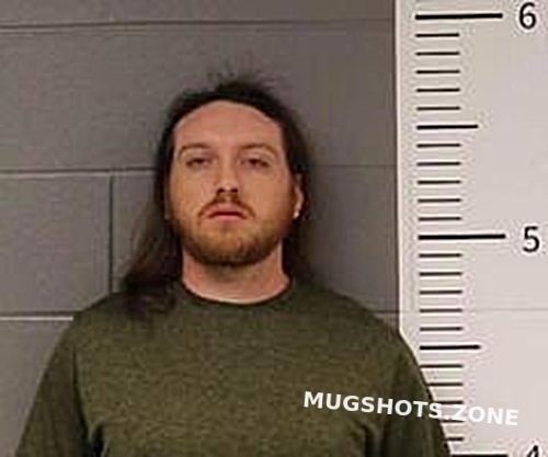 ALEXANDER BRANDON 03/20/2025 - St. Clair County Mugshots Zone