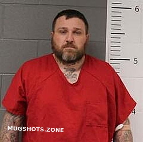 SIPES BRANDON 03/30/2025 - St. Clair County Mugshots Zone