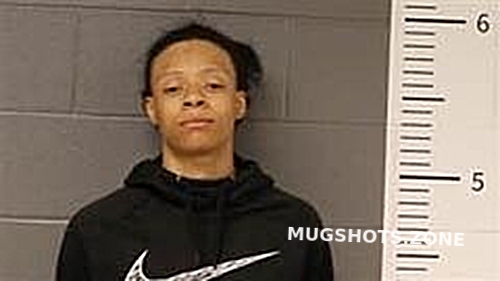 RICHARDS JADA 04/18/2025 - St. Clair County Mugshots Zone