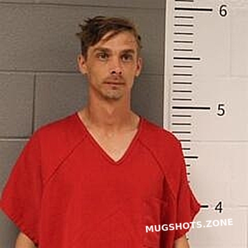 DAVIS MATTHEW 05/01/2025 - St. Clair County Mugshots Zone