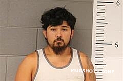 COLUNGA JOSE 11/24/2025 - St. Clair County Mugshots Zone