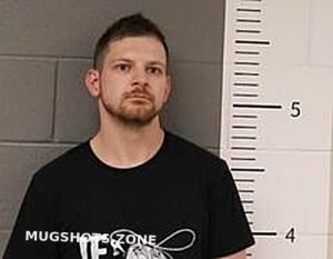 YOUNG SKYLER 12/29/2025 - St. Clair County Mugshots Zone