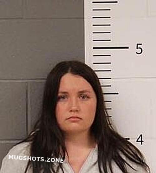 DAVIS ABBIGAIL 01/08/2026 - St. Clair County Mugshots Zone