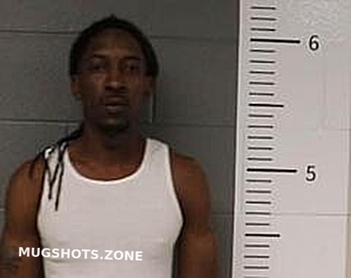 MCKINZY FERNANDES 02/12/2026 - St. Clair County Mugshots Zone