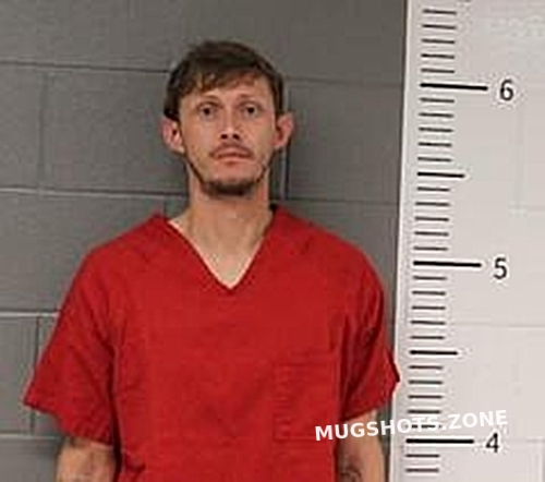 CLEWIS MATTHEW 02/14/2026 - St. Clair County Mugshots Zone