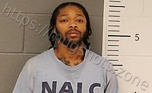 SCOTT OMARI 03/28/2026 - St. Clair County Mugshots Zone