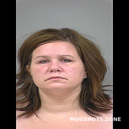 HEITZ ASHLEY NICOLE 12/02/2021 - Stephenson County Mugshots Zone