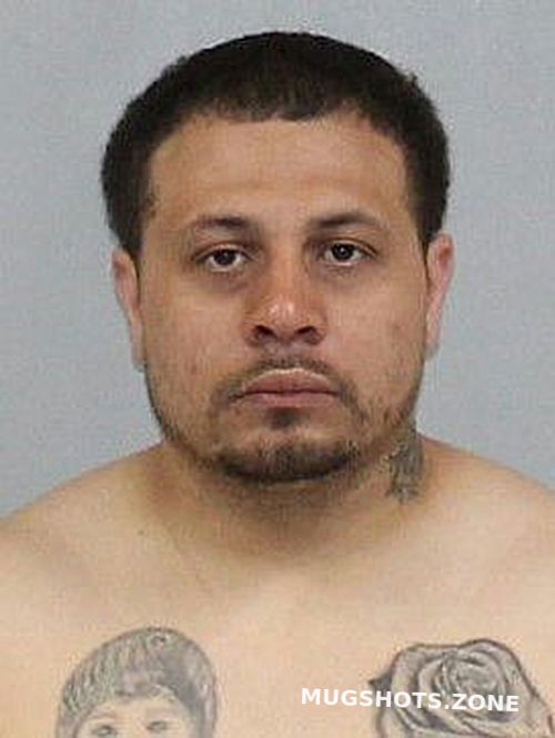 LABORN NELSON ANTHONY 05/19/2024 - Stephenson County Mugshots Zone