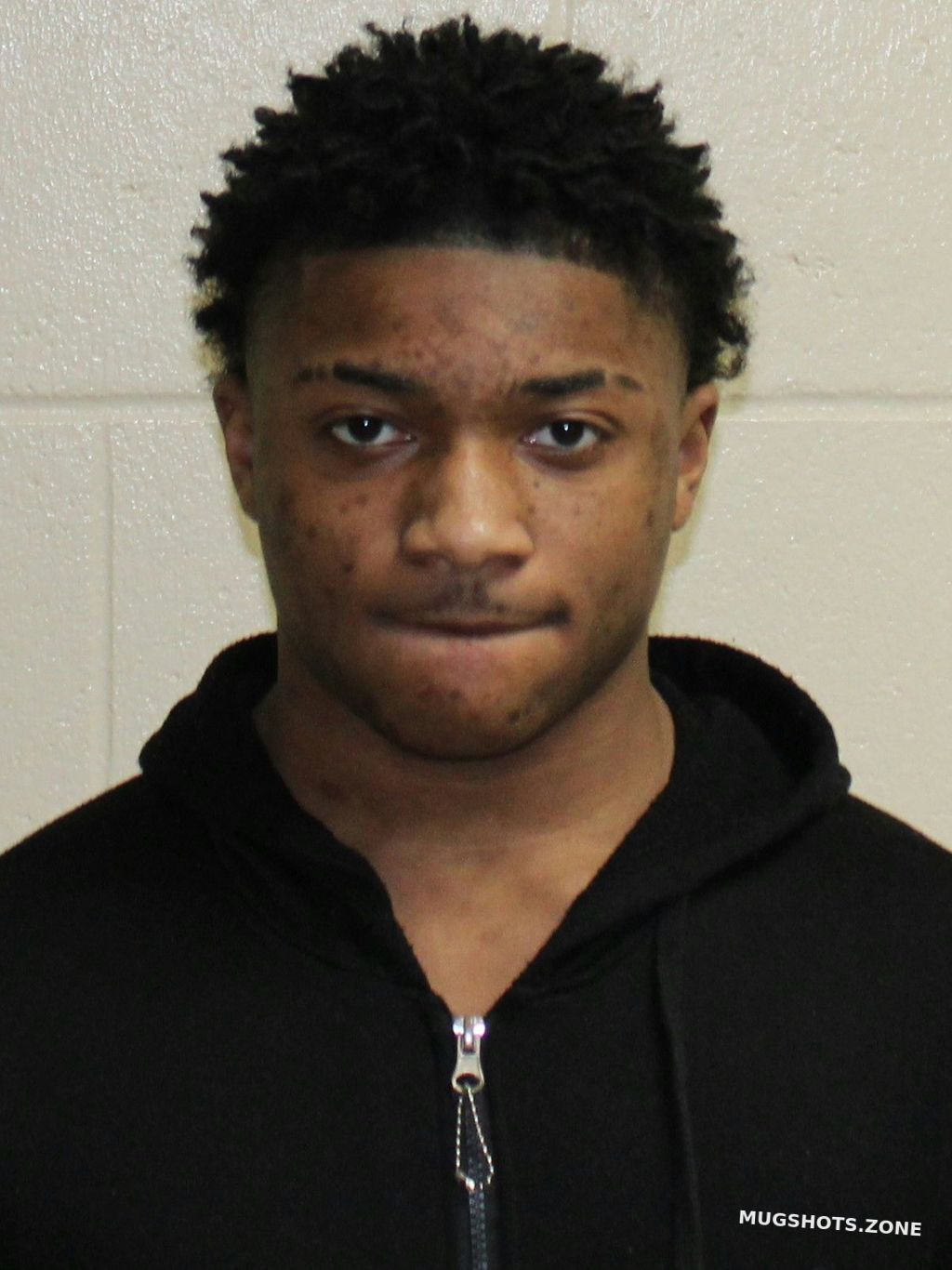 BOOKER MARK ANTHONY 09/11/2024 - Stephenson County Mugshots Zone