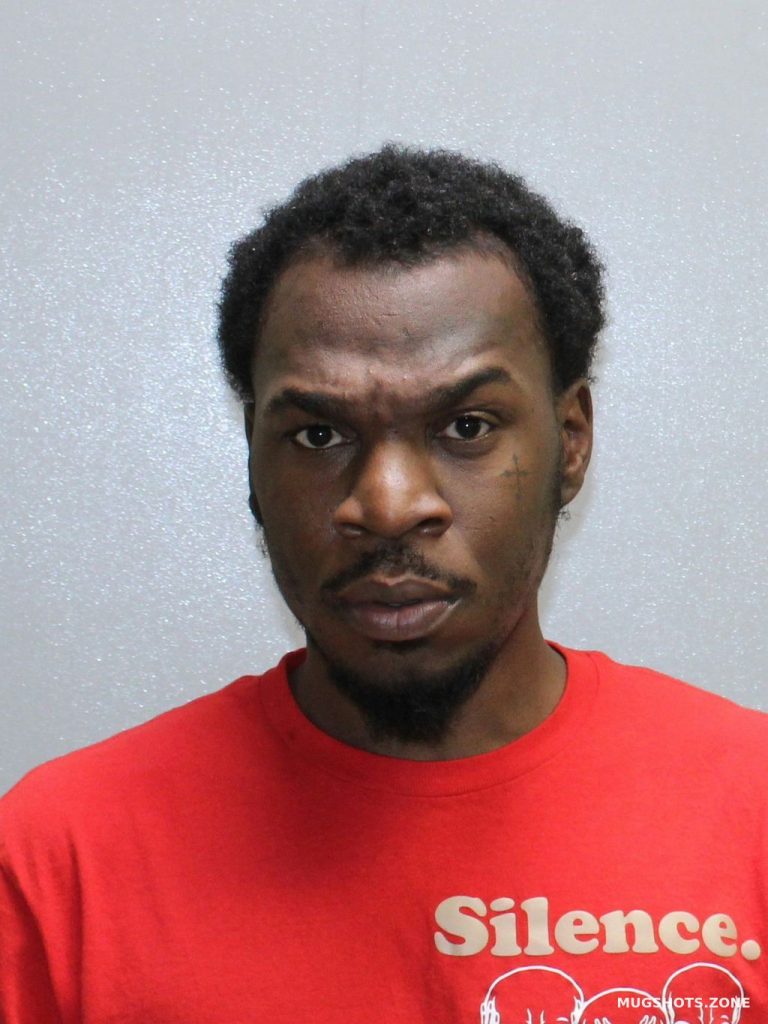 JACKSON RAFAEL 11/08/2024 - Stephenson County Mugshots Zone