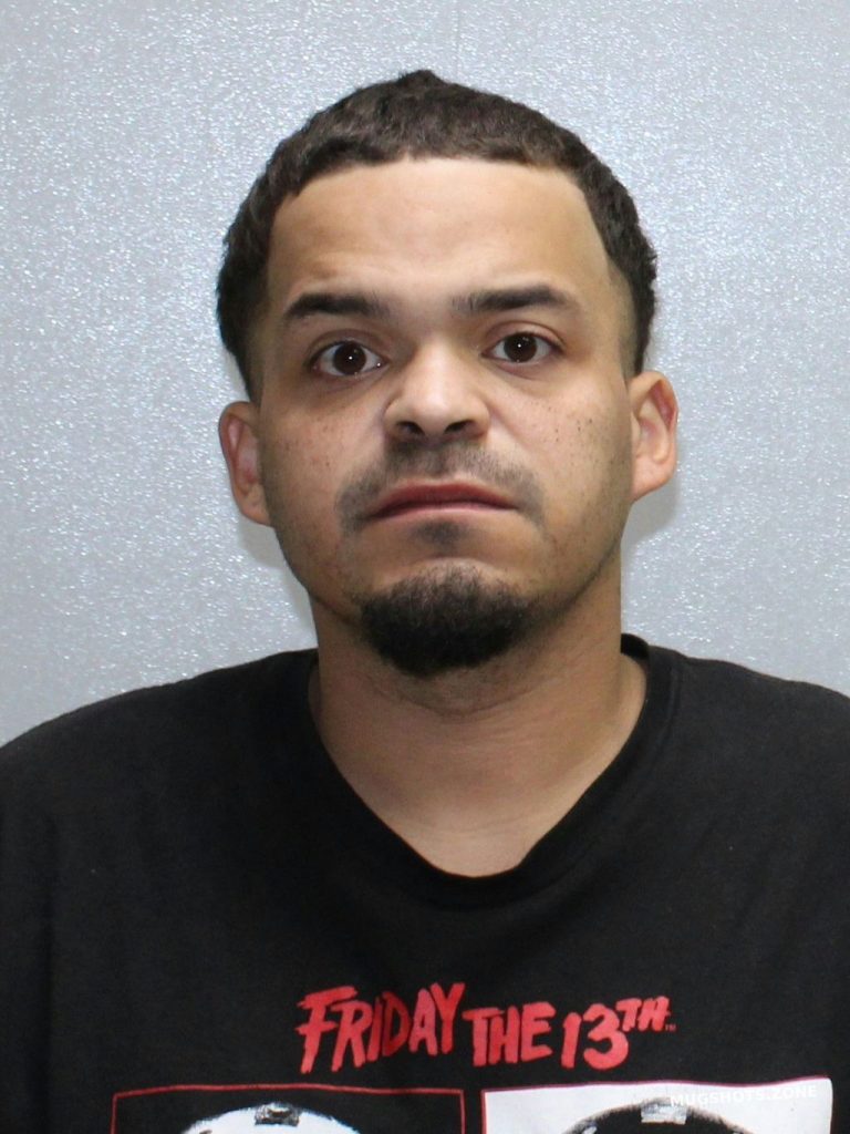 DAVIS DEMONTE ELIJAH 11/11/2024 - Stephenson County Mugshots Zone