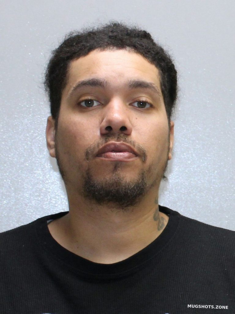 MEINERT JORDAN MICHAEL 11/13/2024 - Stephenson County Mugshots Zone