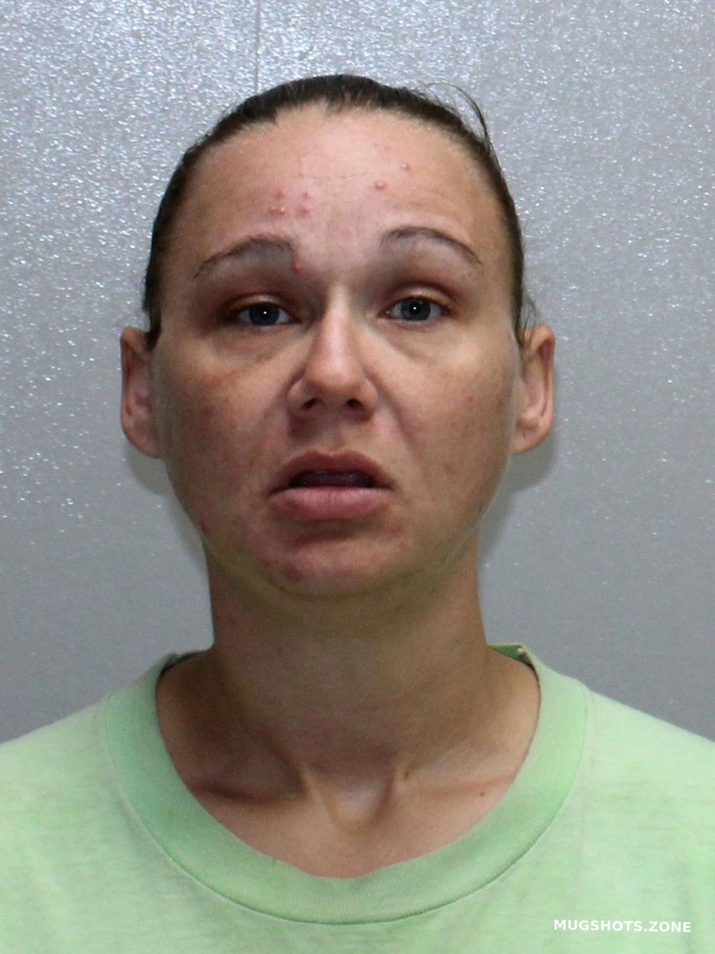 RUNKLE CHRISTINA JADE 11/24/2024 - Stephenson County Mugshots Zone