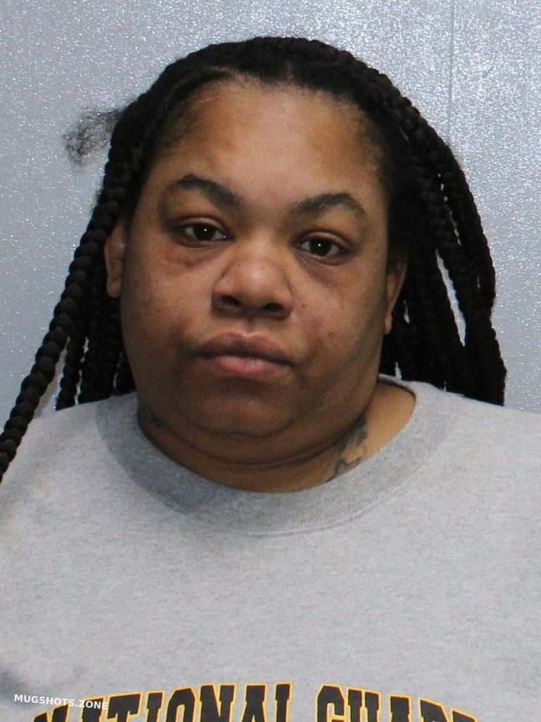 ADAMS ALICIA RAYETTA 12/21/2024 - Stephenson County Mugshots Zone