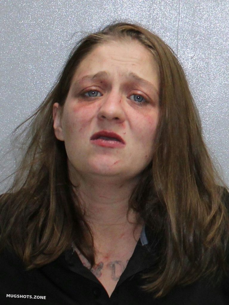 WILKINS CYNDLE ROSE 12/24/2024 - Stephenson County Mugshots Zone