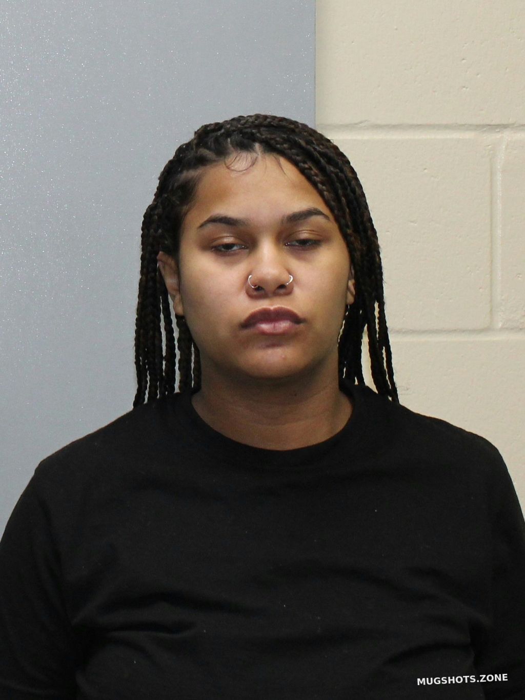 WHITNEY ISIS MARIE 01/01/2025 - Stephenson County Mugshots Zone