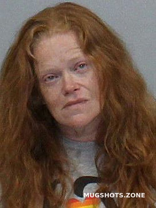 SMITH DORA LEE 02/01/2025 - Stephenson County Mugshots Zone