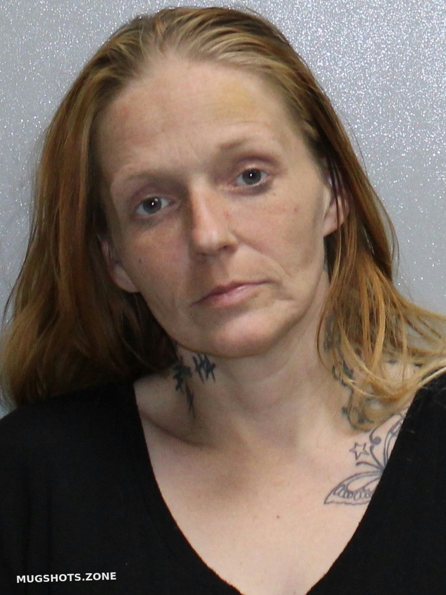 HALL BRITTANY ANN 02/26/2025 - Stephenson County Mugshots Zone