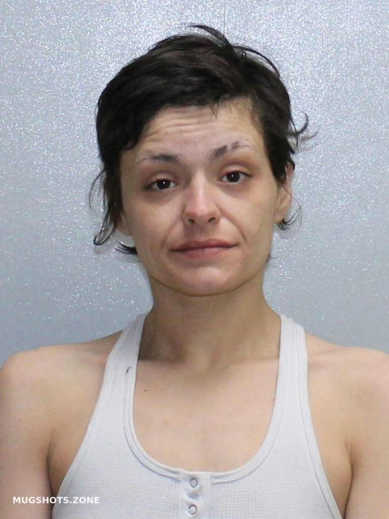 APODACA MICHELLE MARIE 03/30/2025 - Stephenson County Mugshots Zone