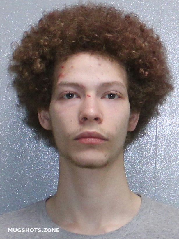 ELLIS WILLIE JERON 05/16/2025 - Stephenson County Mugshots Zone