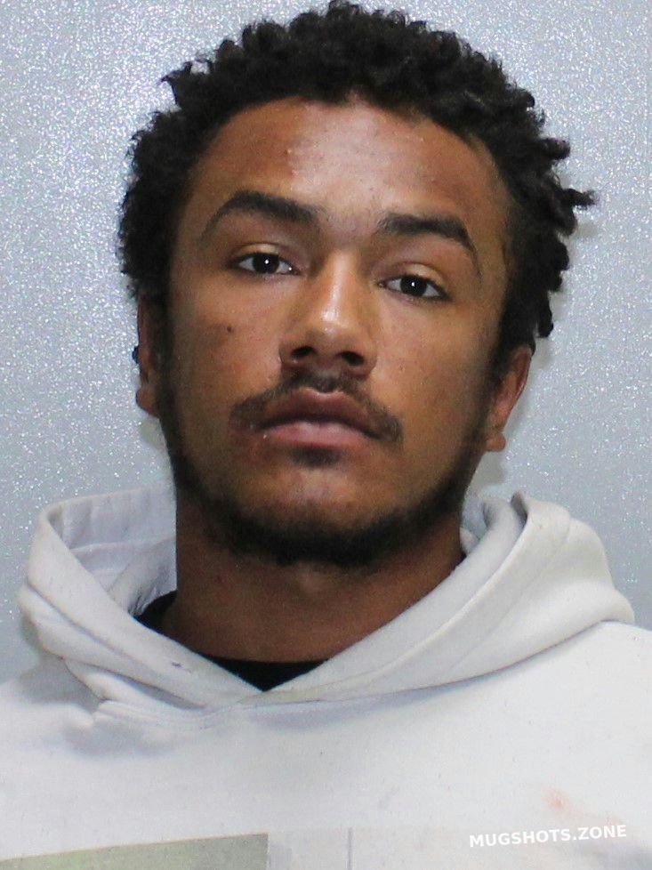 PHILLIPS WILLIAM GEORGE 06/10/2025 - Stephenson County Mugshots Zone