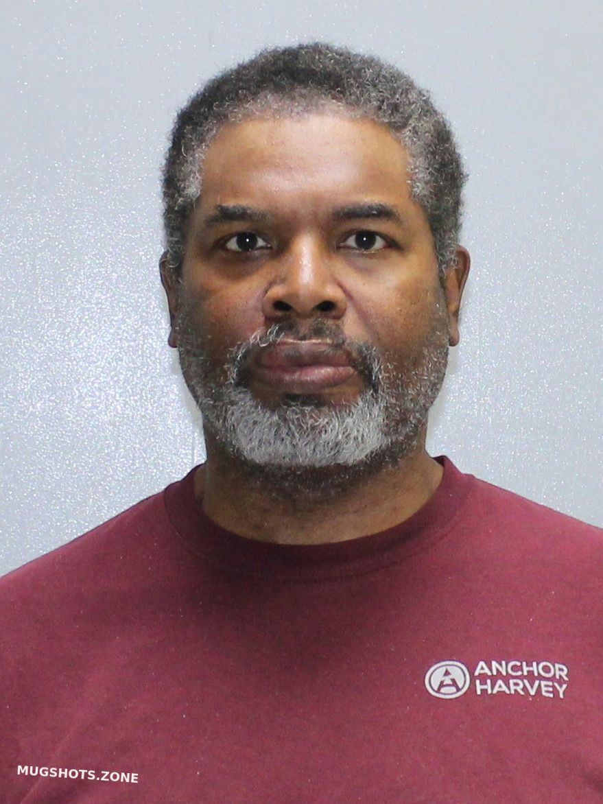 MCGEE ANDRE RAY 06/18/2025 - Stephenson County Mugshots Zone