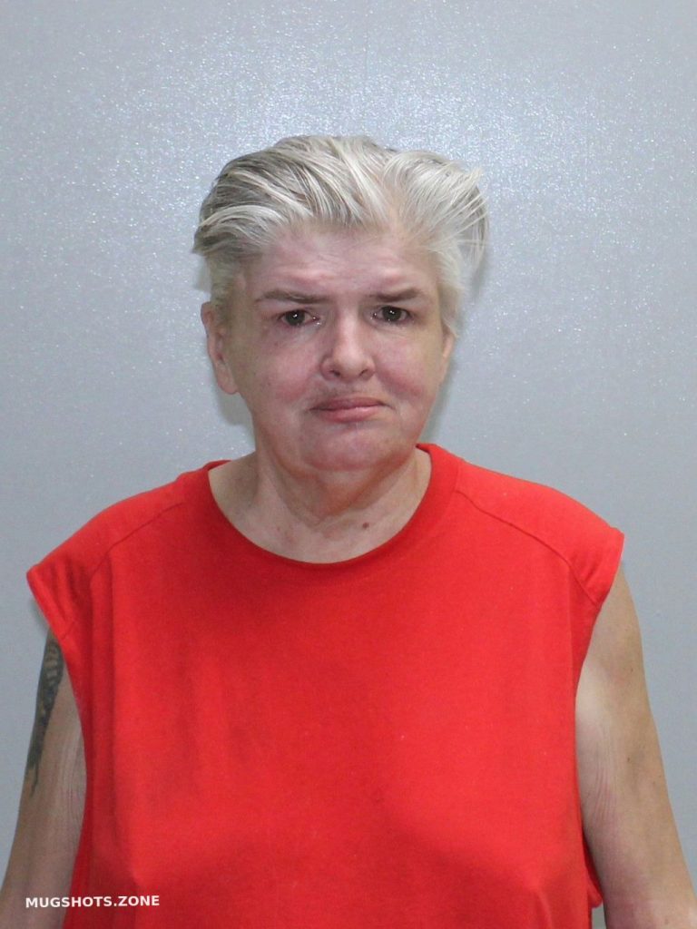 HUNEFIELD SANDRA JEAN 06/18/2025 - Stephenson County Mugshots Zone