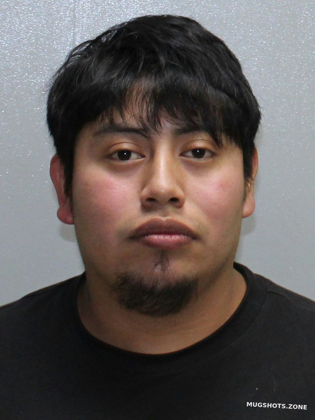 ACATZIHUA OMAR 06/29/2025 - Stephenson County Mugshots Zone