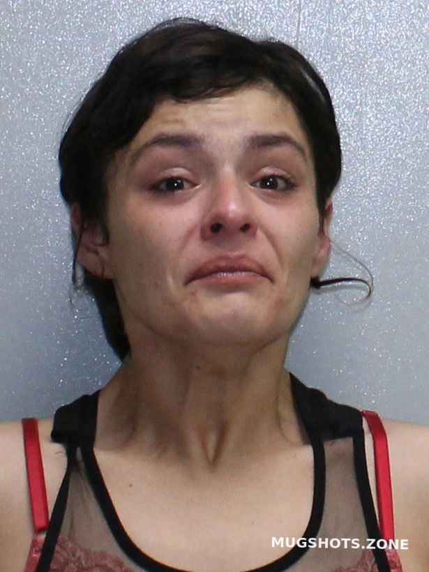 APODACA MICHELLE MARIE 06/30/2025 - Stephenson County Mugshots Zone