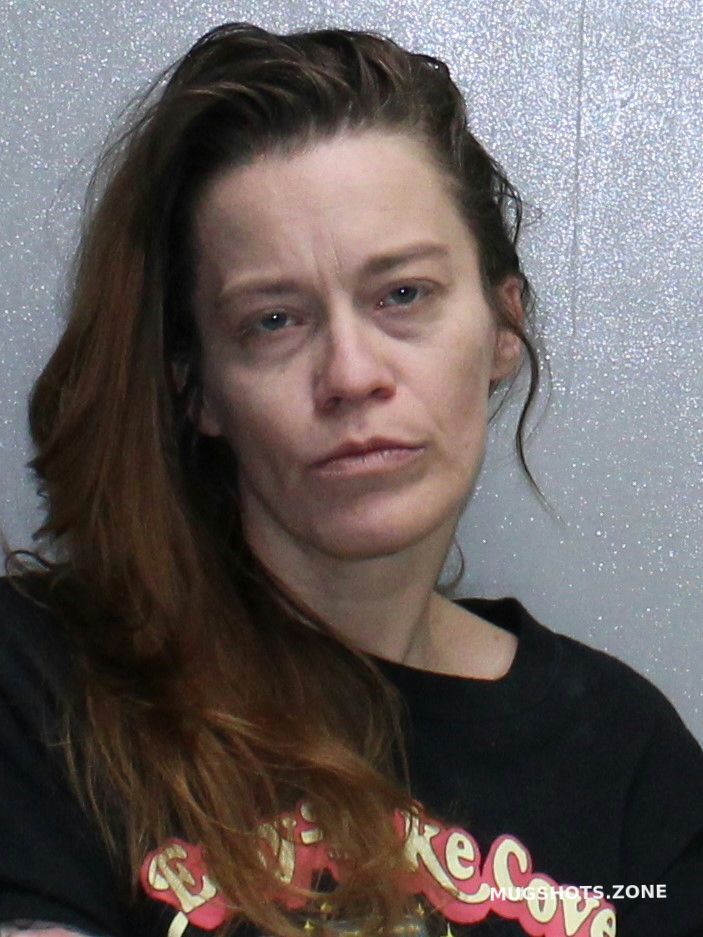 MARSH ERICA LYN 07/10/2025 - Stephenson County Mugshots Zone