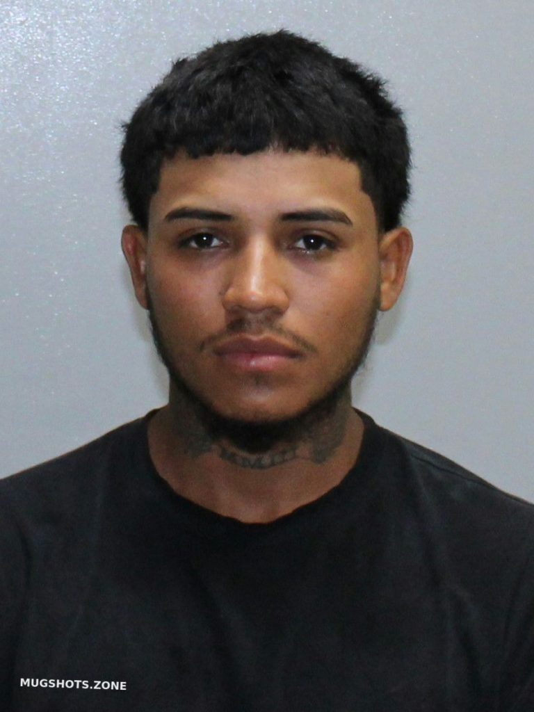 LOPEZ-VELASQUEZ JANDIR NOEL 08/09/2025 - Stephenson County Mugshots Zone