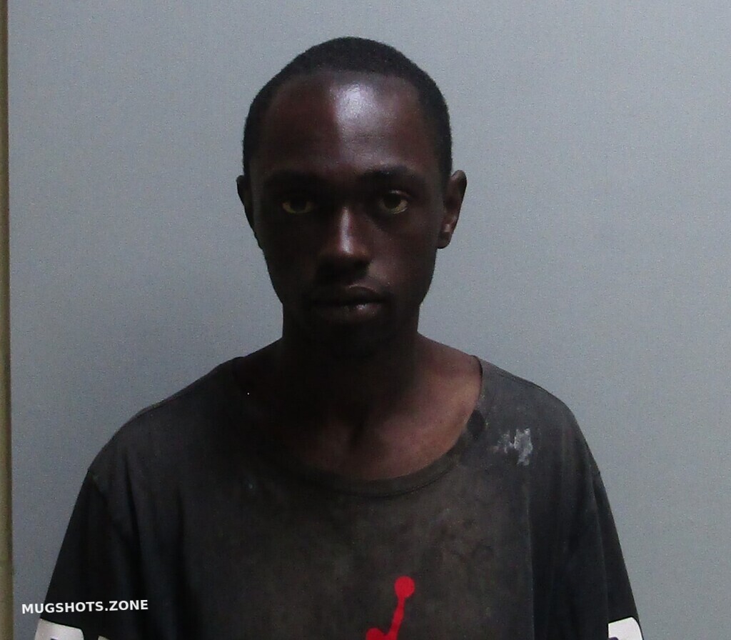MCCLAIN JAMERAQUA LEONTE 09/21/2025 - Stephenson County Mugshots Zone