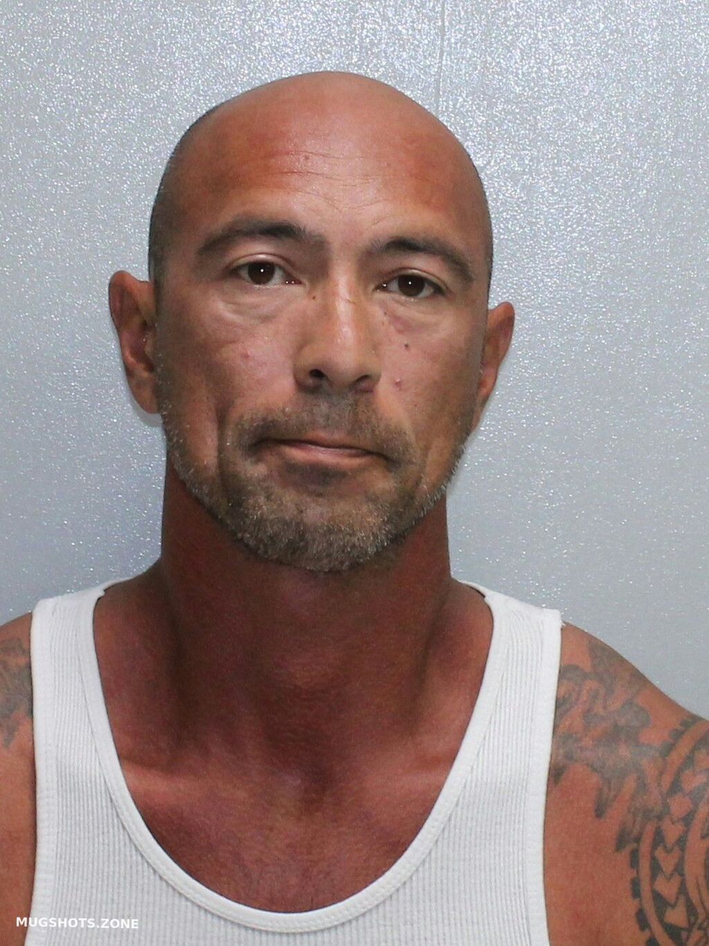 ALMASY GARY MARK 10/09/2025 - Stephenson County Mugshots Zone