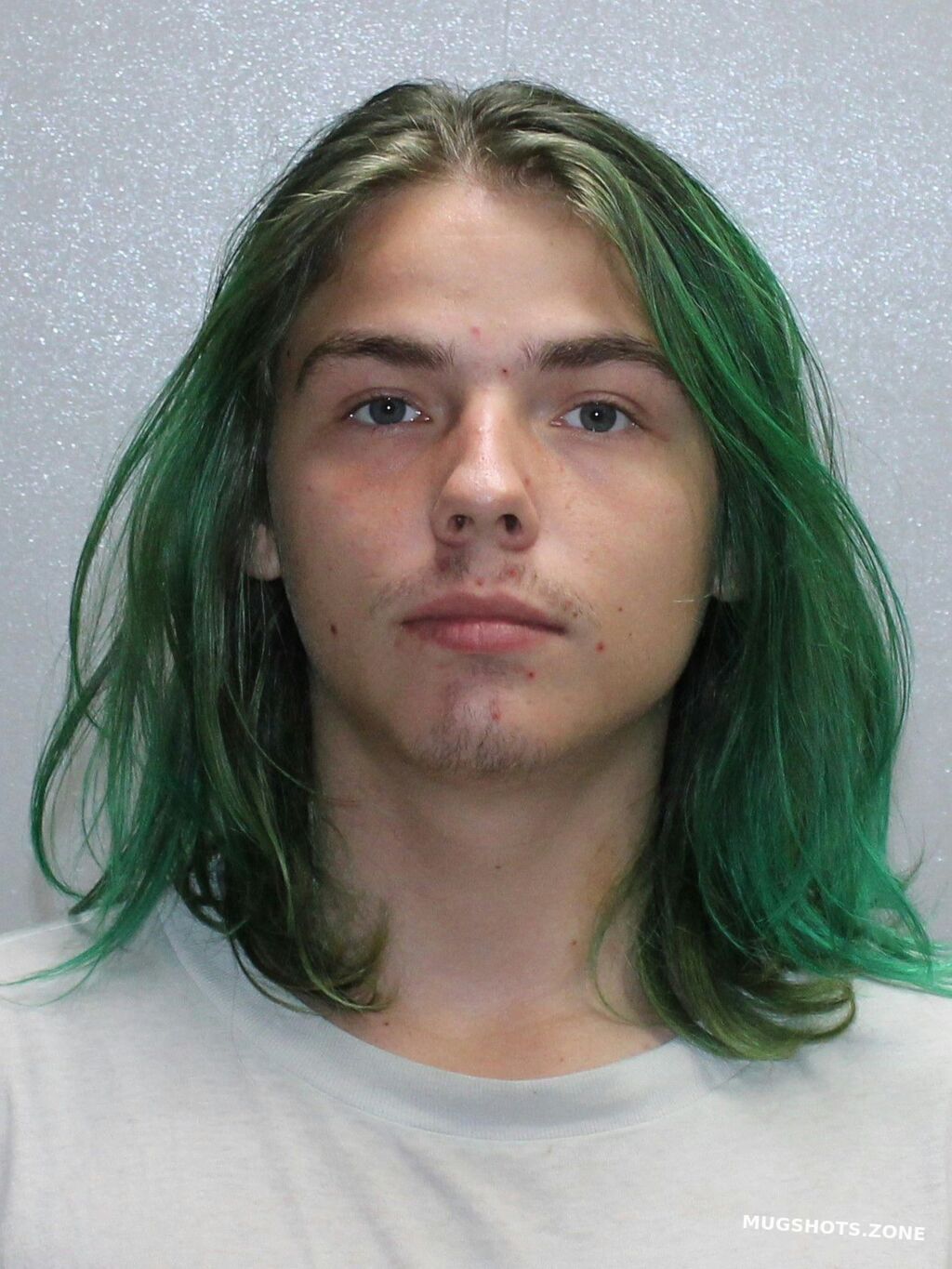 BILLIPS BLAKE ANDREW RAY 10/10/2025 - Stephenson County Mugshots Zone