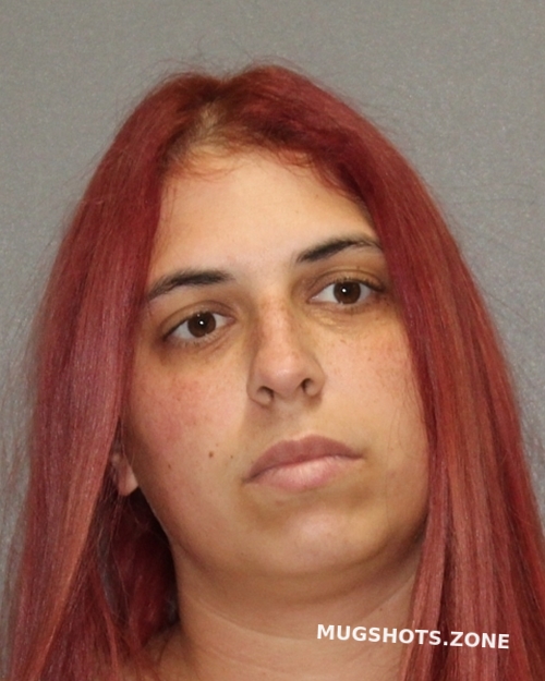 WHITE JESSICA LEE 02/01/2024 - Stephens County Mugshots Zone