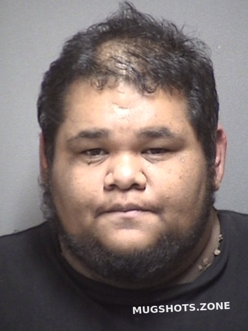 BUENO ELI ROY 07/31/2024 - Stephens County Mugshots Zone