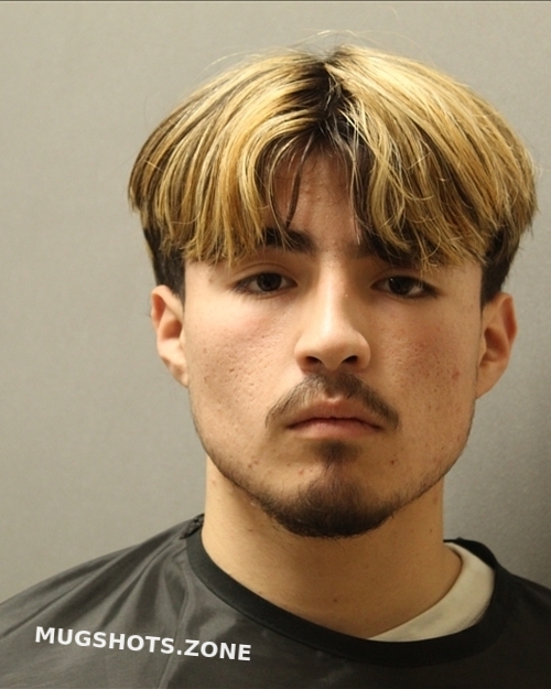 WILLIAMSON AYDEN 01/10/2025 - Stephens County Mugshots Zone