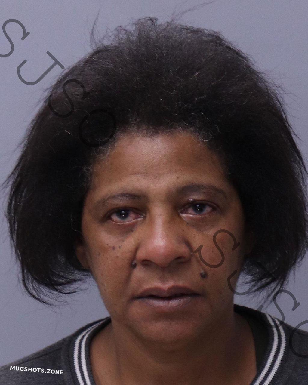 BELL BRENDA JOYCE 04/04/2021 - St. Johns County Mugshots Zone