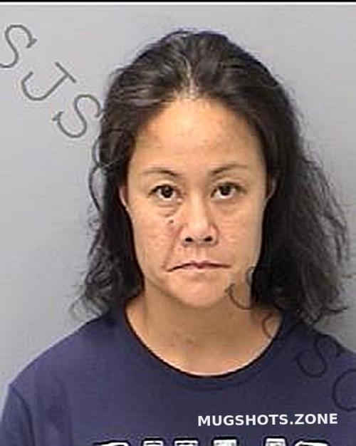 DAVIDSON SARAH ANN 09/19/2022 - St. Johns County Mugshots Zone