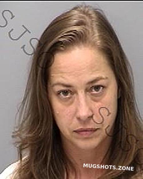 SATTERFIELD JANICE LEANN 03/25/2023 - St. Johns County Mugshots Zone