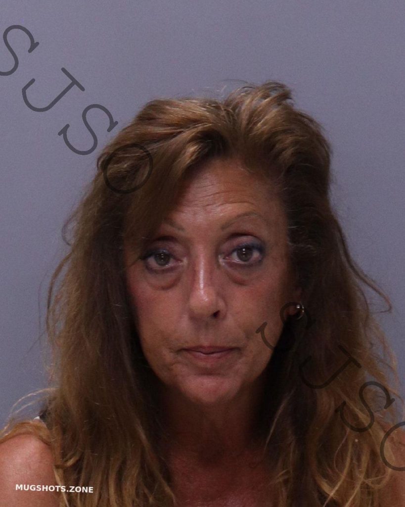 HAFFEY LISA DENISE 04/28/2023 - St. Johns County Mugshots Zone