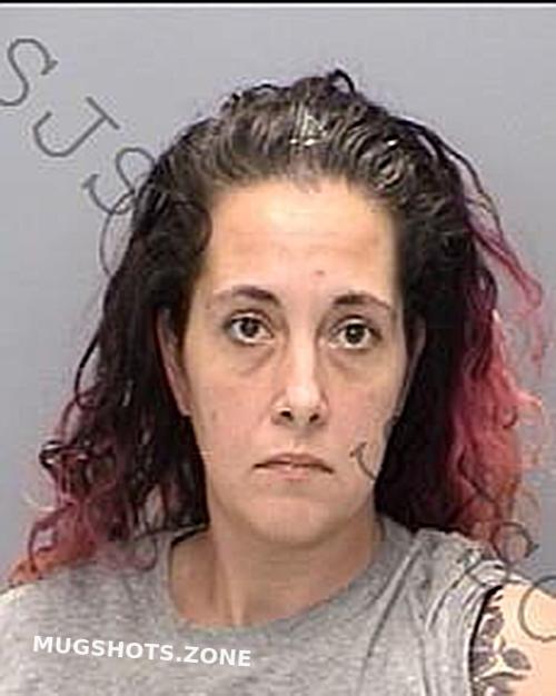 REED COURTNEY RAE 11/19/2023 - St. Johns County Mugshots Zone