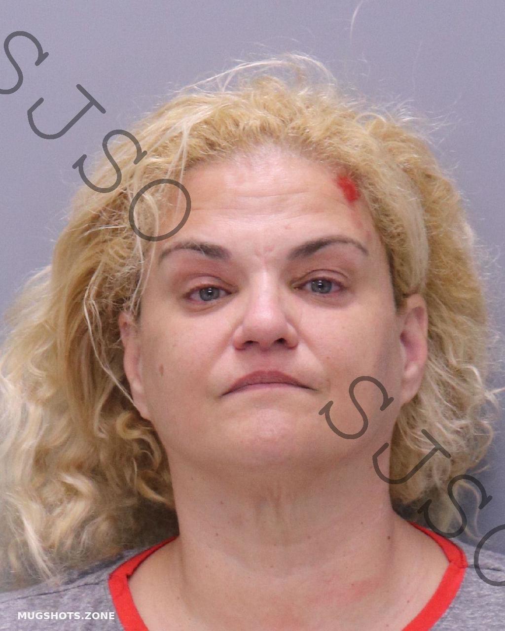 FERNANDEZ ANA ROSA 03/23/2024 - St. Johns County Mugshots Zone