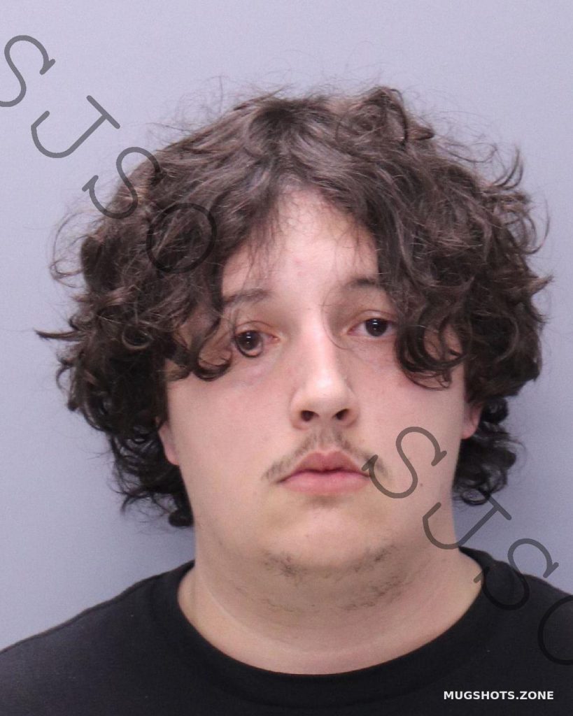 DAVIS DAWSON RILEY 03/29/2024 - St. Johns County Mugshots Zone