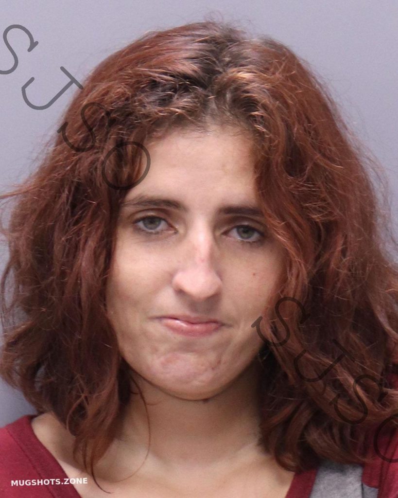 CUSHMAN ASHLEE MICHELE 07/09/2024 - St. Johns County Mugshots Zone
